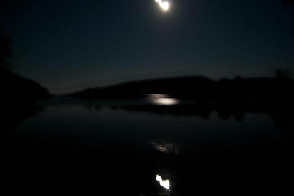 MECO360: Material Ecologies Research Network – LOUISE BOSCACCI …roll ...