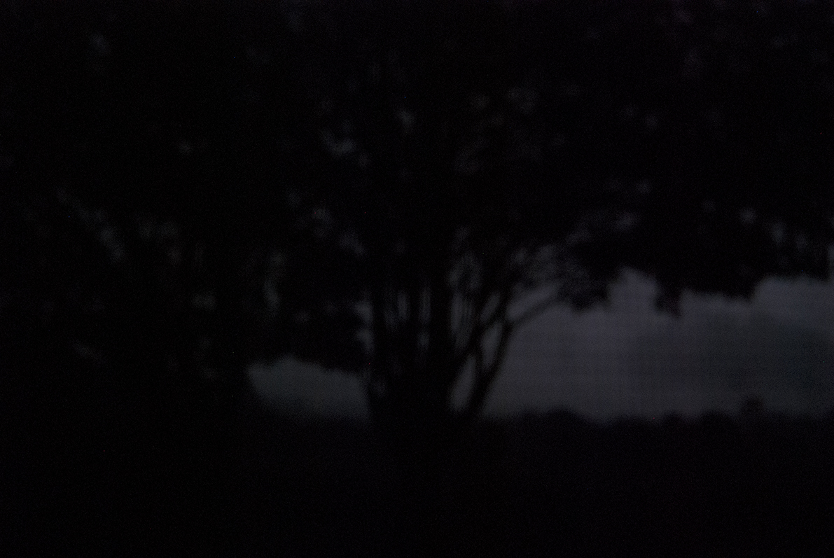 Tree Drone 2016 – LOUISE BOSCACCI …roll call↩︎ postings: blog stream