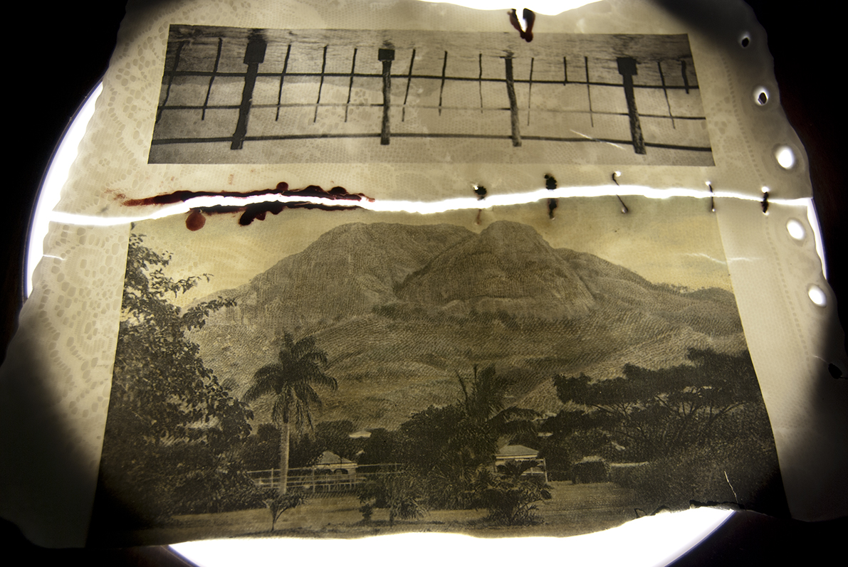 About What is Given – LOUISE BOSCACCI …roll call↩︎ postings: blog stream