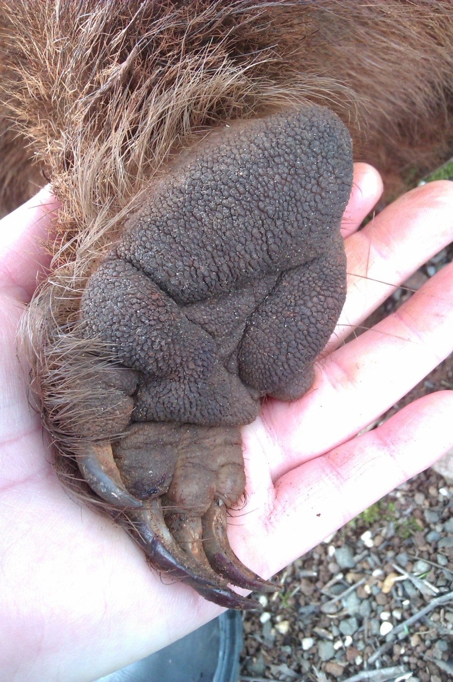 tracing absence (how many photographs should I keep?) – LOUISE BOSCACCI ...